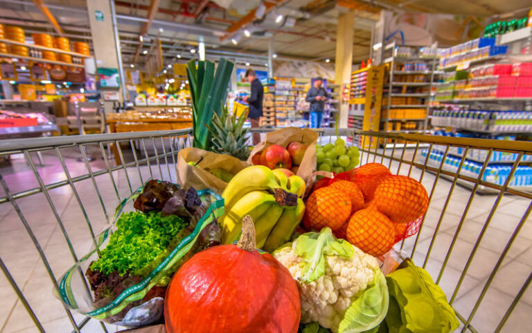 ¿Cómo Hacer una Compra de alimentos? | Corporis Sanum